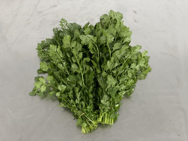 Cilantro – Monte Vista Farms