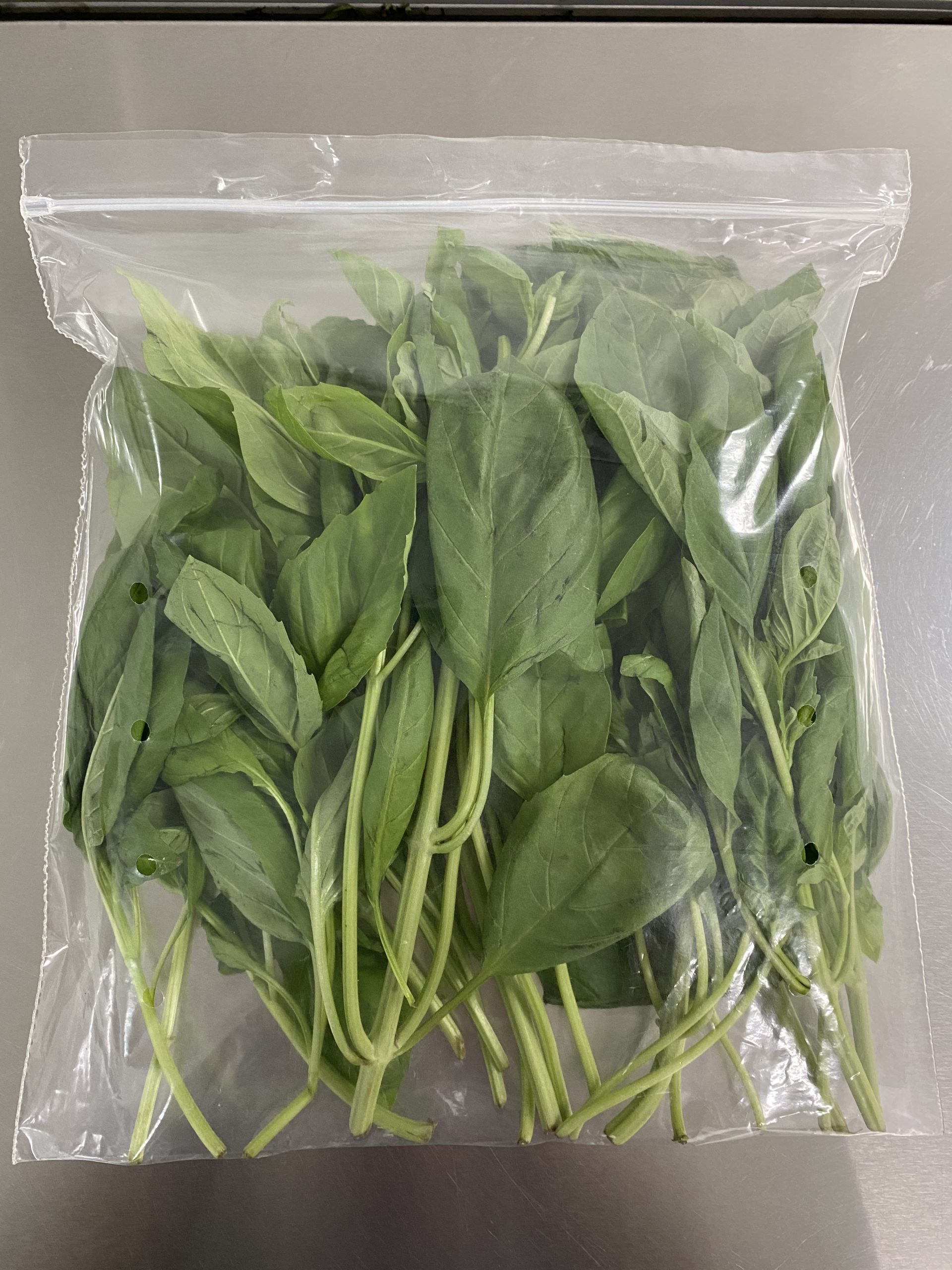 Basil Large Leaf – Monte Vista Farms