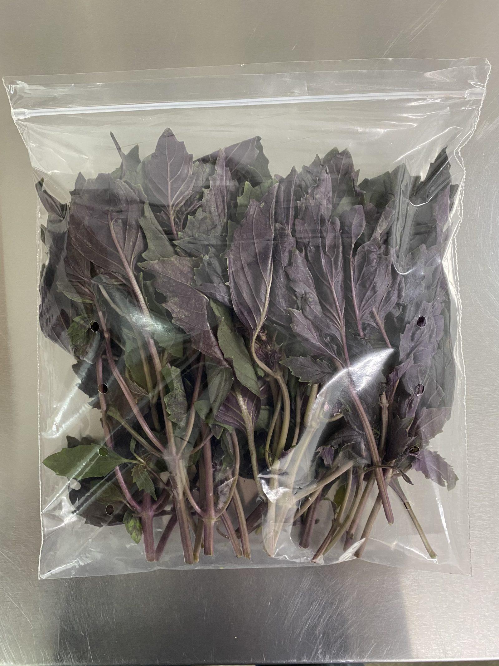 Opal Basil – Monte Vista Farms