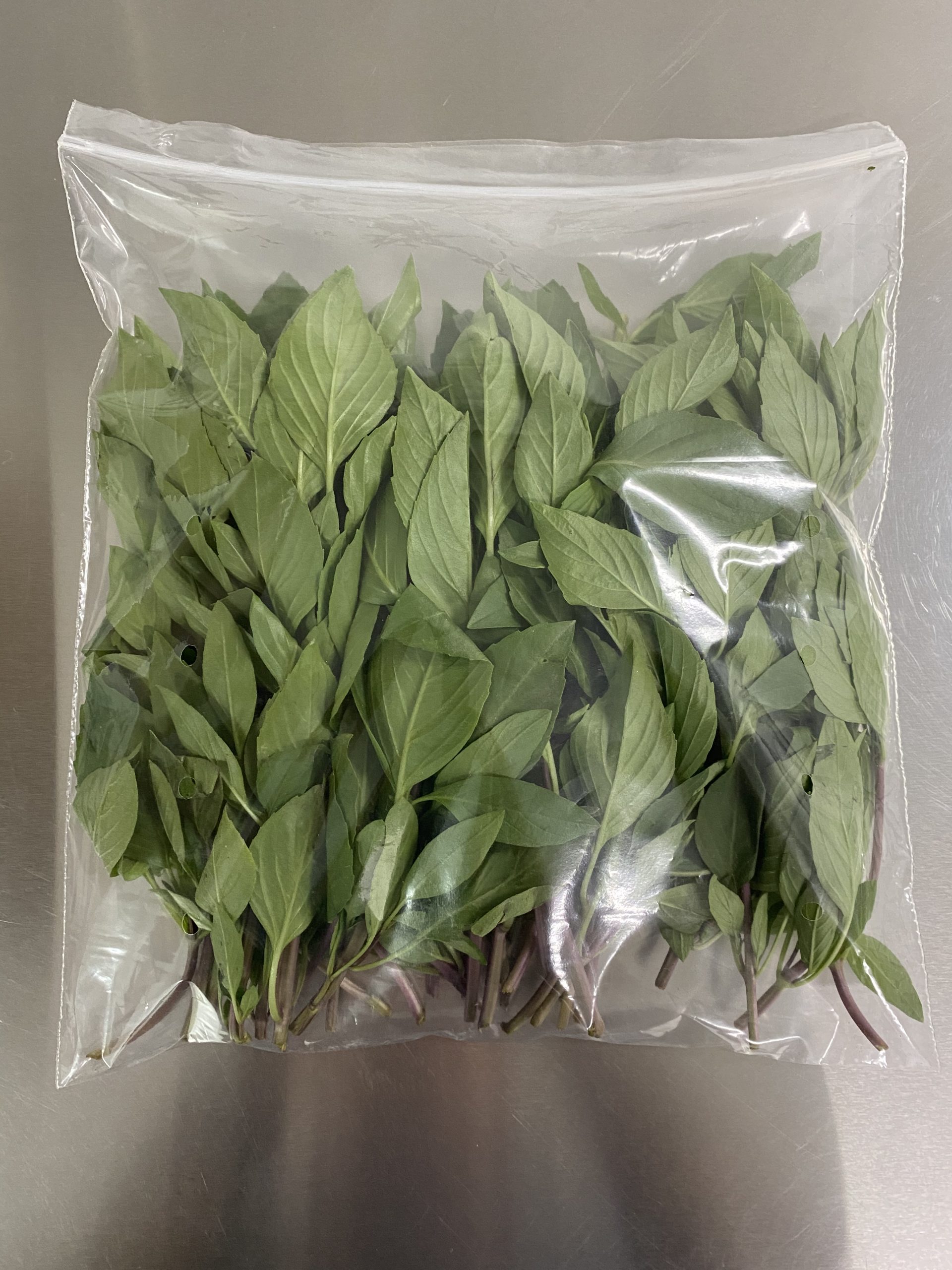 Thai Basil – Monte Vista Farms