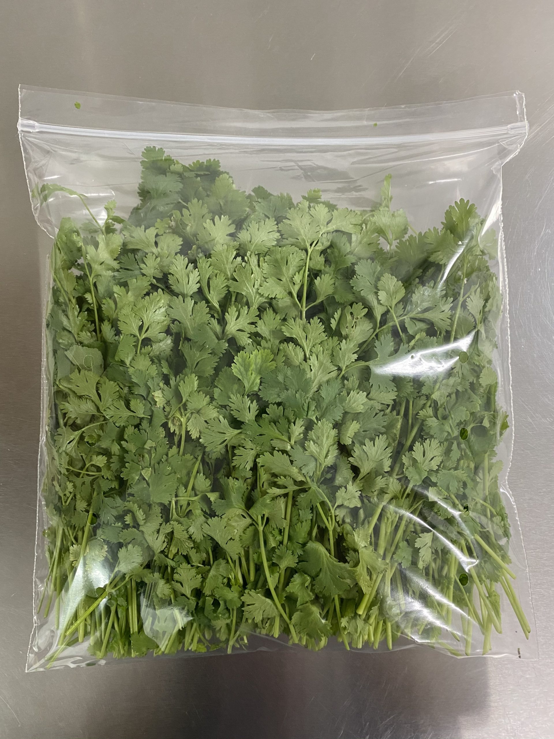 Cilantro – Monte Vista Farms