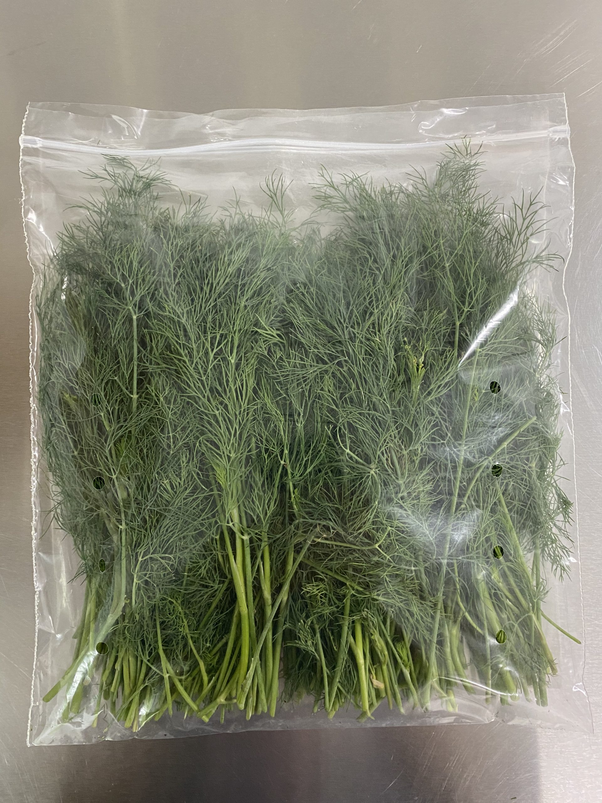 Dill – Monte Vista Farms